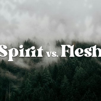 Spirit vs Flesh | DSM